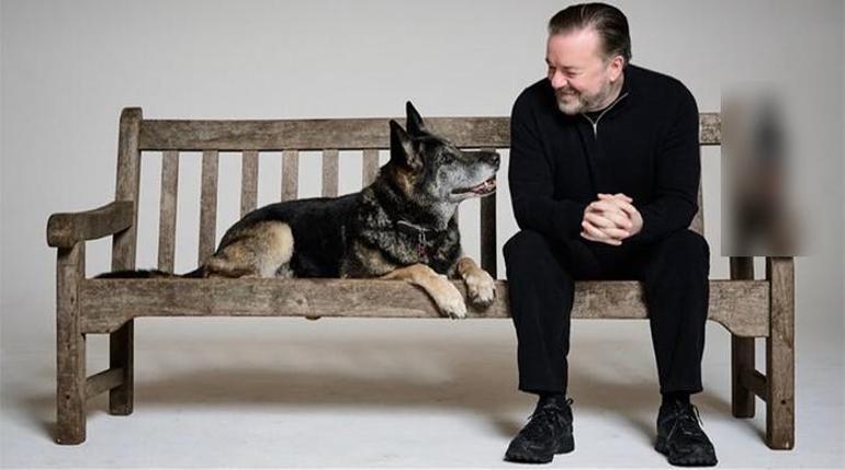 Ricky Gervais, 'After Life' Dizisindeki Köpeği Anti'nin Ölümünü Duyurdu ...